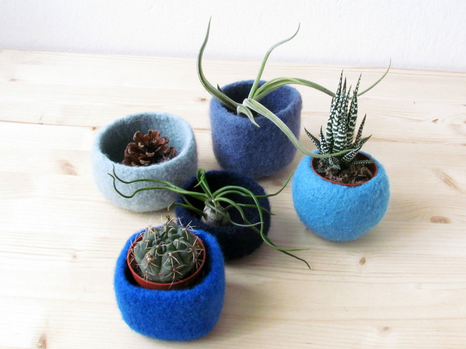 Blue succulent planters set, Instant collection – The Yarn Kitchen