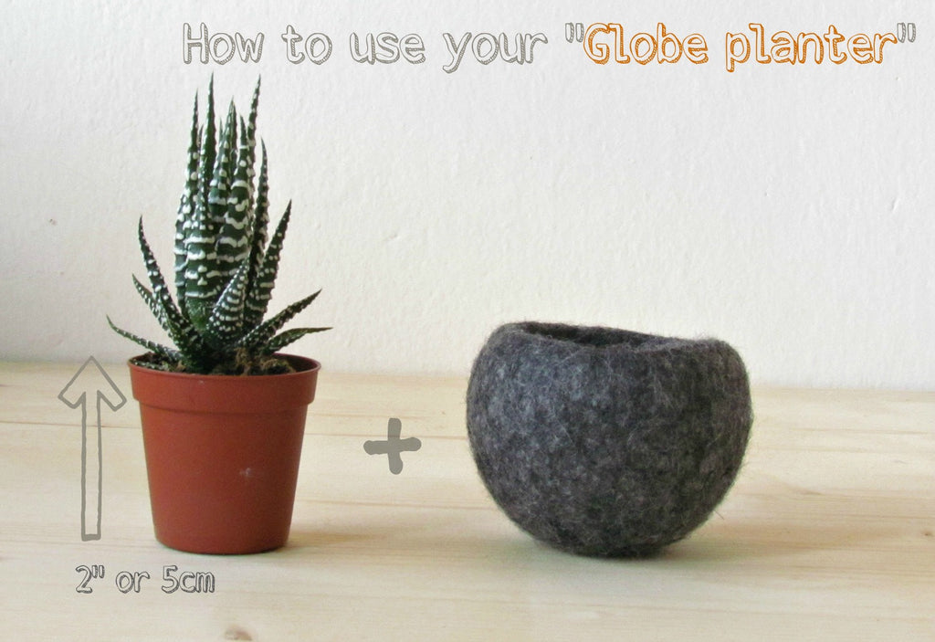 Cactus planter/Succulent /Plant pod/felted bowl/Air plant holder/panto ...